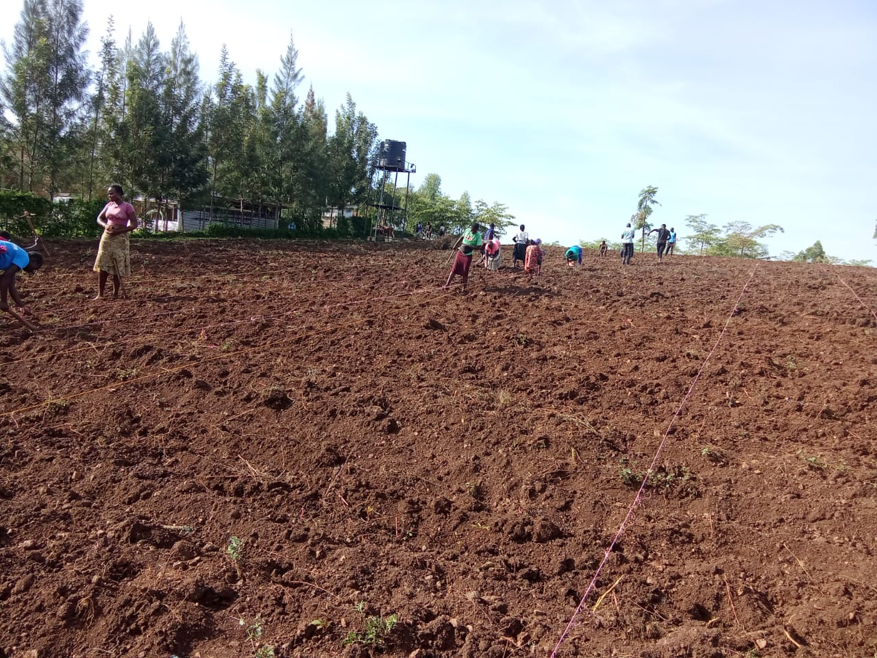 Our Projects | Blessing The Needy